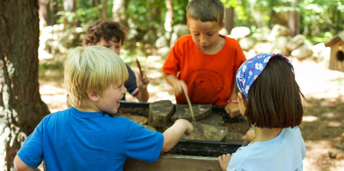 South Shore YMCA Nature Center - South Shore YMCA Nature Center