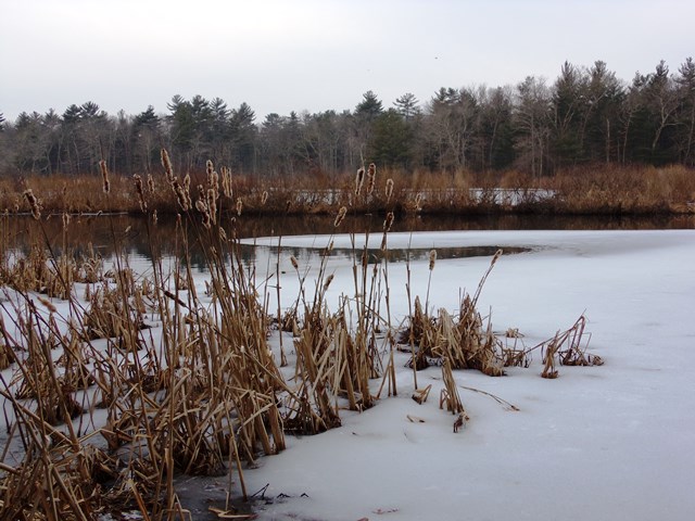 Almost That Time - South Shore YMCA Nature Center