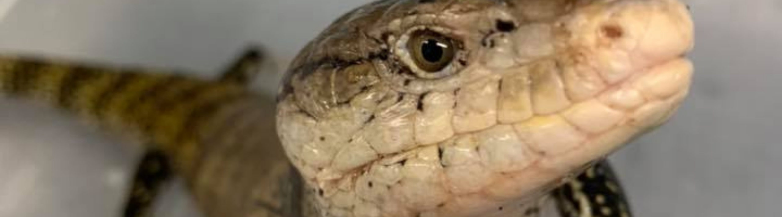 Exhibits - South Shore YMCA Nature Center