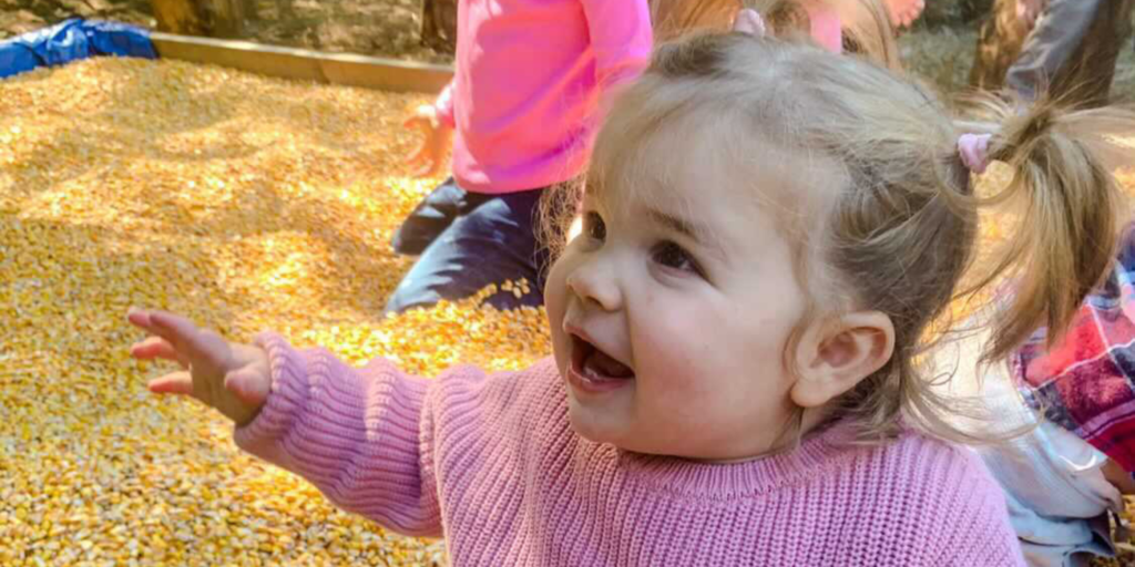 Corn Festival - South Shore YMCA Nature Center