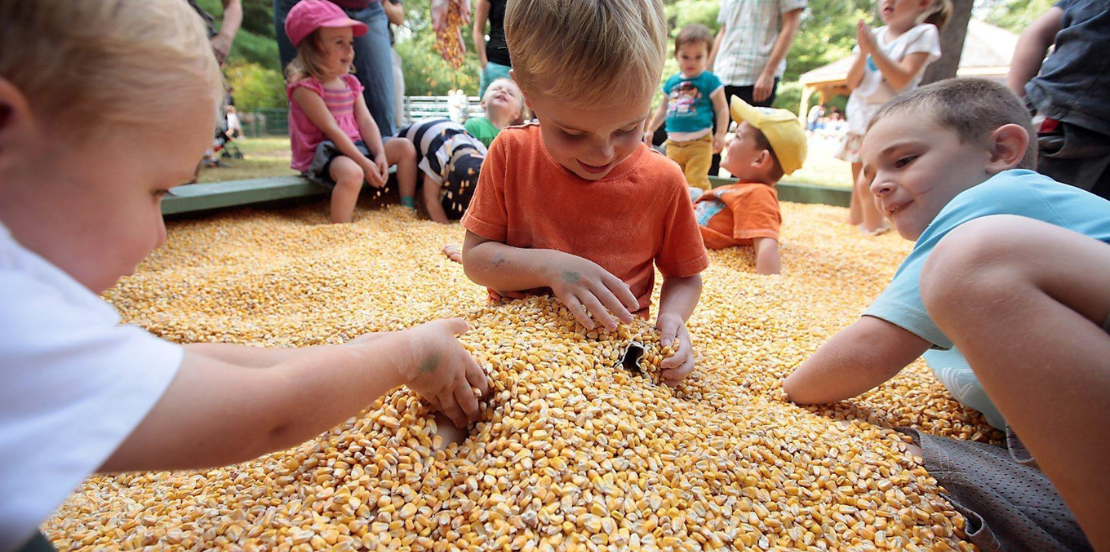 Corn Festival 2023 - South Shore YMCA Nature Center