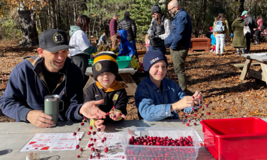 Cranberry Day - South Shore YMCA Nature Center