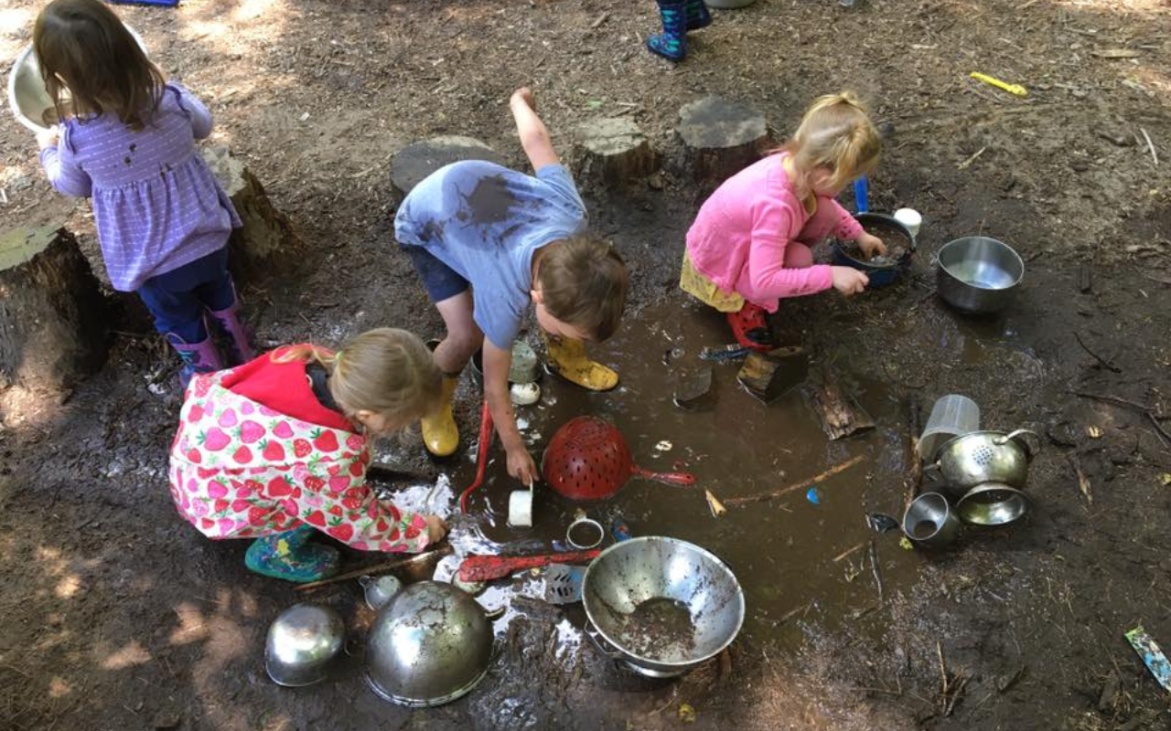 Forest Friends Nature Playgroup - South Shore YMCA Nature Center